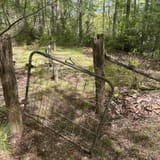 Lost Cove Trail, North Carolina - 212 Reviews, Map | AllTrails