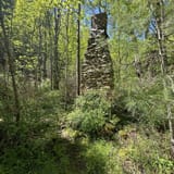 Lost Cove Trail, North Carolina - 212 Reviews, Map | AllTrails