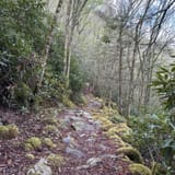 Lost Cove Trail, North Carolina - 212 Reviews, Map | AllTrails