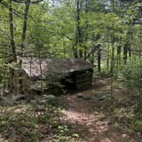 Lost Cove Trail, North Carolina - 212 Reviews, Map | AllTrails