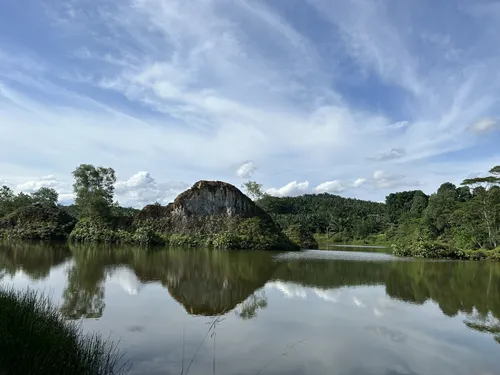 10 Best Forest Trails in Jenjarom | AllTrails