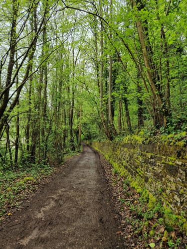 2023 Best River Trails in Leigh Woods | AllTrails