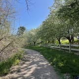 Niwot Loop Trail, Colorado - 462 Reviews, Map | AllTrails