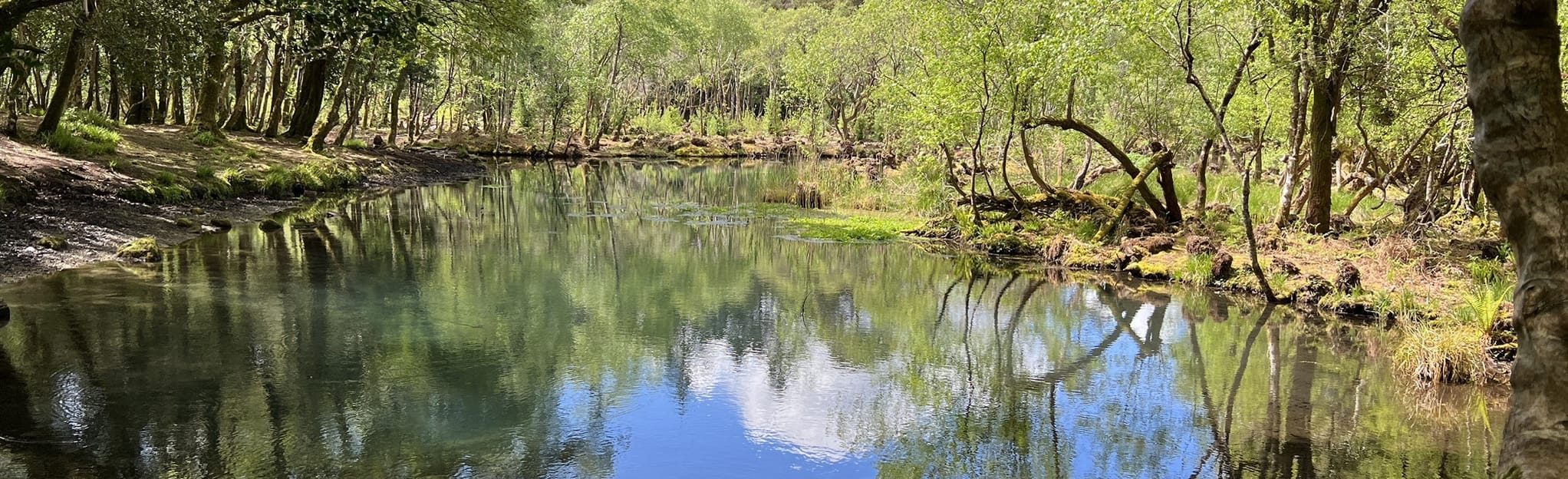 Blue Pool Woodland Nature Trail, County Kerry, Ireland - 28 Reviews ...