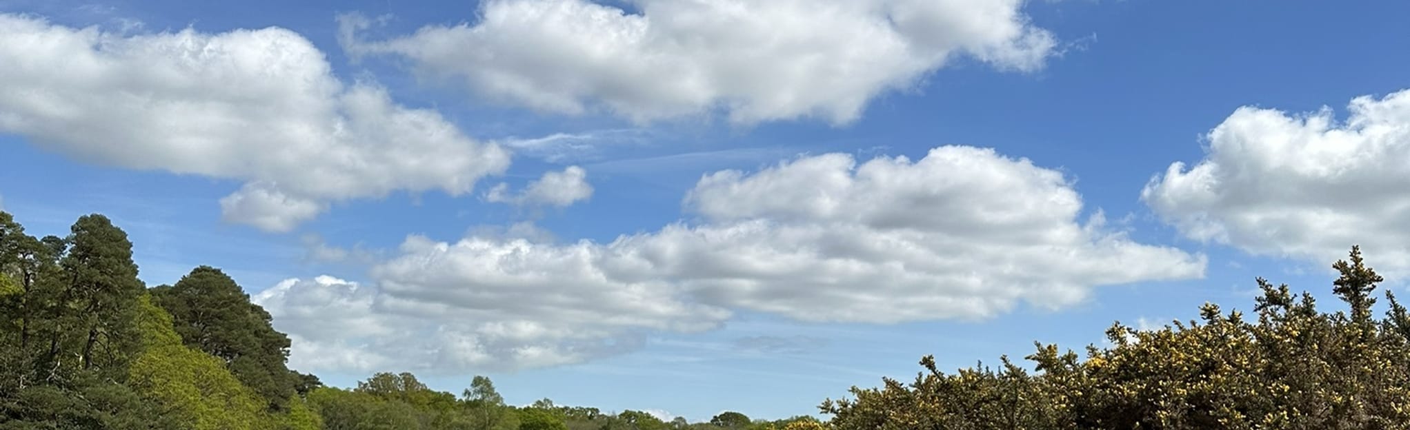Brockenhurst to Pondhead Inclosure Circular, Hampshire, England - 8 ...