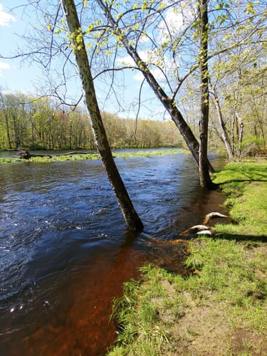 Best Hikes and Trails in Salt Rock State Park | AllTrails