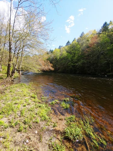 Best Hikes and Trails in Salt Rock State Park | AllTrails