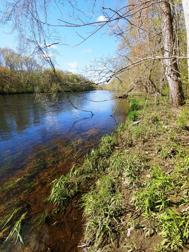 Best Hikes and Trails in Salt Rock State Park | AllTrails