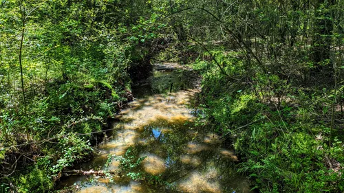 Best Hikes and Trails in Jewel Moore Nature Reserve | AllTrails