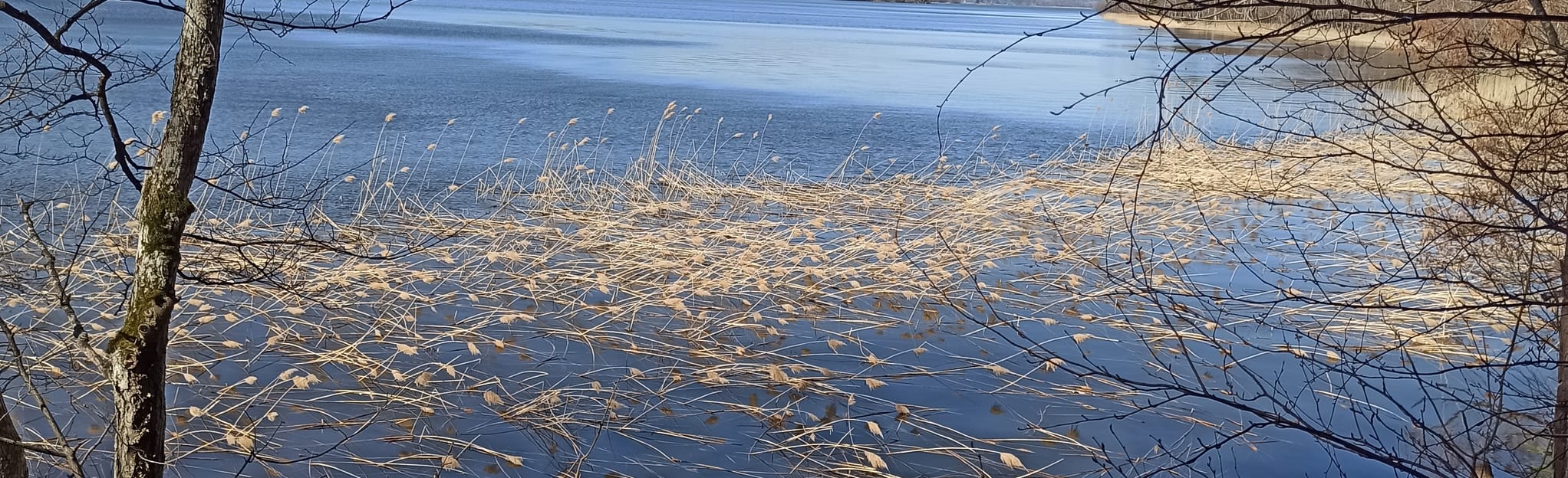 Sättra gård - Runsa slott : 10 Photos - Stockholm, Suède | Randonnée ...