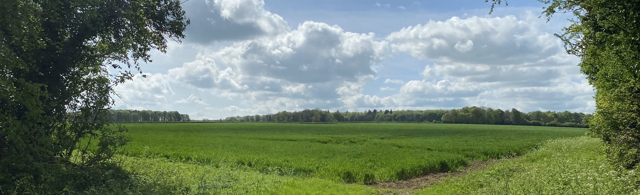 AllTrails | Enstone Circular: 22 Reviews, Map - Oxfordshire, England