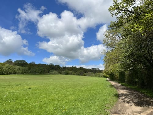 Best Hikes and Trails in Shotover Country Park | AllTrails