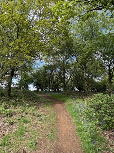 Best Hikes and Trails in Shotover Country Park | AllTrails