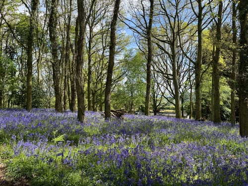 Best Hikes and Trails in Shotover Country Park | AllTrails