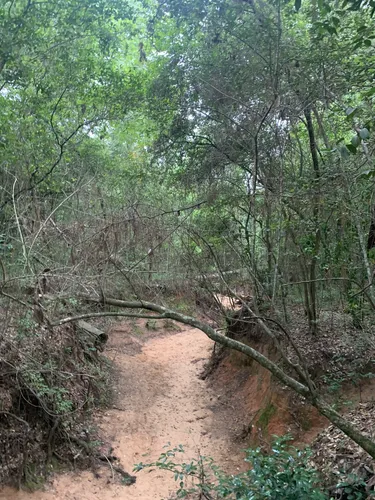 Best Hikes and Trails in Spring Creek Park | AllTrails