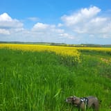 Boxley and the North Downs Circular, Kent, England - 430 Reviews, Map ...