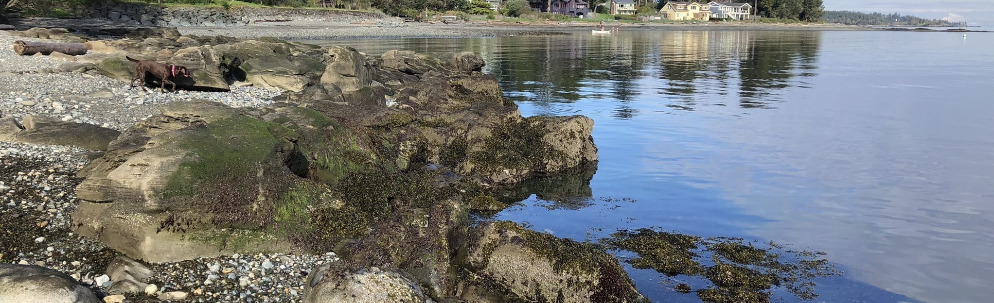 Lantz Beach, British Columbia, Canada - 23 Reviews, Map | AllTrails