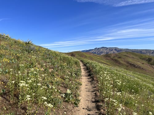 Best Hikes and Trails in Foothills North Natural Area | AllTrails