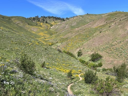 Best Hikes and Trails in Foothills North Natural Area | AllTrails