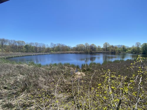 Best Hikes and Trails in Arshamomaque Preserve | AllTrails