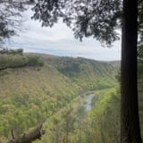 Colton Point Canyon Rim Trail, Pennsylvania - 296 Reviews, Map | AllTrails