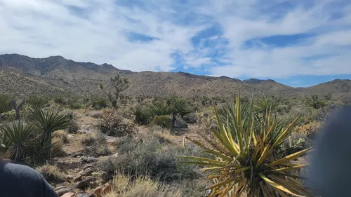 Best 10 Hiking Trails in Dolan Springs Trail System | AllTrails