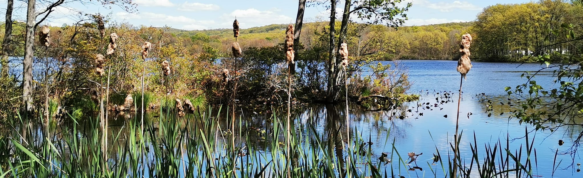 Iron Mine Loop via Sussex Branch Trail: 198 Reviews, Map - New Jersey ...