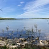 Norrie Point Trail, New York - 674 Reviews, Map | AllTrails