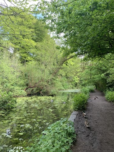 Best Hikes and Trails in Hailey Park | AllTrails