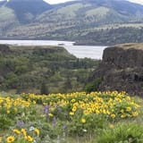Rowena Plateau Trail, Oregon - 685 Reviews, Map | AllTrails