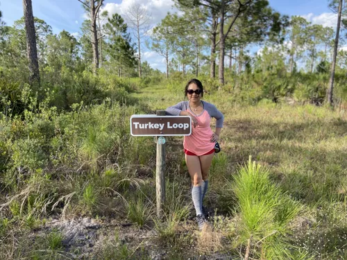 Best Hikes and Trails in Hilochee Wildlife Management Area | AllTrails