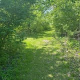 River Bluff Trail Loop, Illinois - 358 Reviews, Map | AllTrails