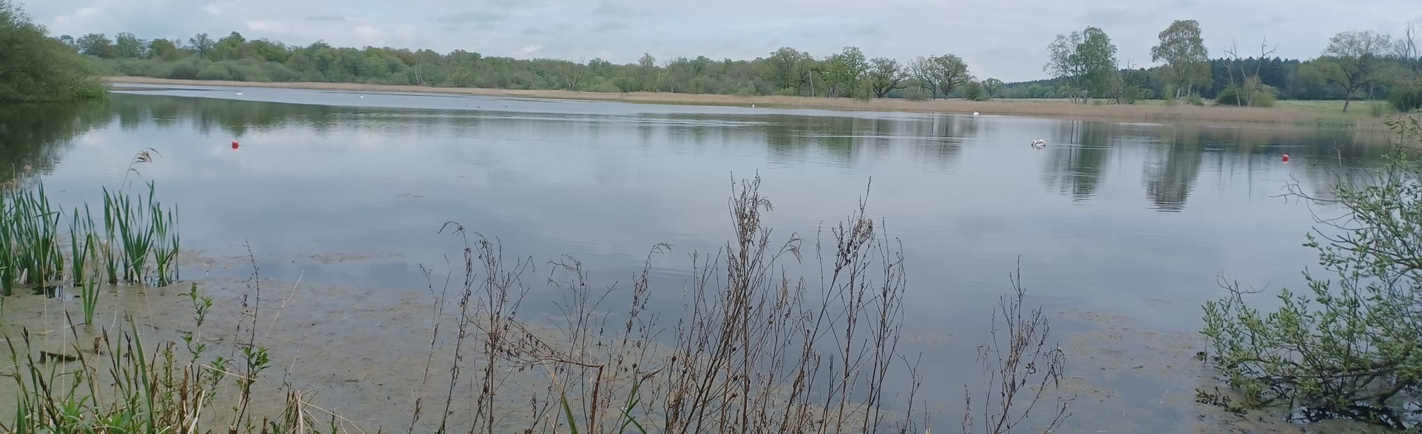 Great Eastern Pingo Trail: 126 foto - Norfolk, Inghilterra | AllTrails