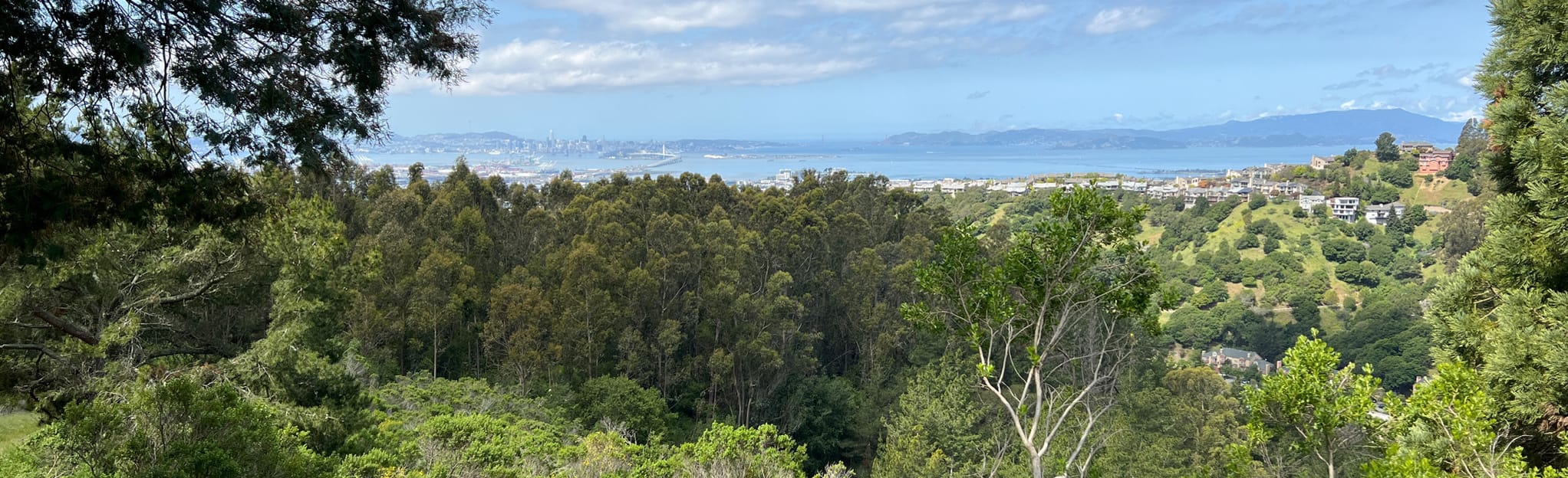 Observatory Hill, Redwood Regional Park and Claremont Canyon Cycle ...