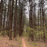 Deep Lake Trail, Michigan - 544 Reviews, Map | AllTrails