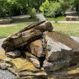 Four Mile Creek Greenway, North Carolina - 674 Reviews, Map | AllTrails