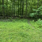 Four Mile Creek Greenway, North Carolina - 674 Reviews, Map | AllTrails
