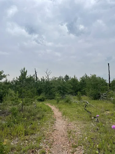 Best Hikes and Trails in Buescher State Park | AllTrails