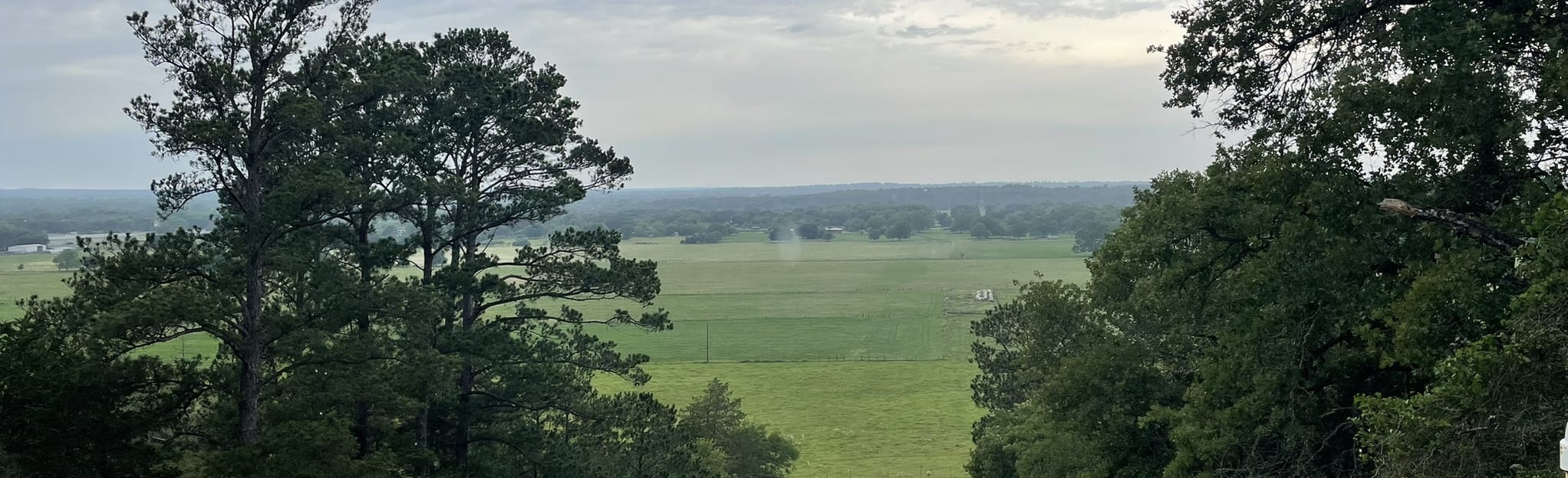 Lost Pines Trail Road 1C: 122 foto's - Texas | AllTrails