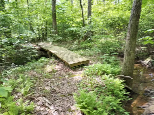 Best Hikes and Trails in Big Hill Pond State Park | AllTrails