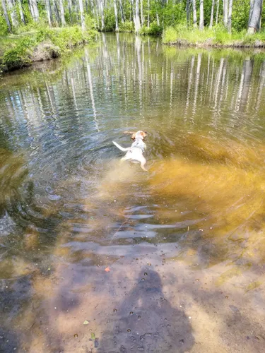 Best Hikes and Trails in Big Hill Pond State Park | AllTrails