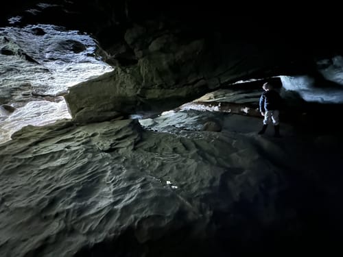 Best Hikes and Trails in Hug Point State Recreation Site | AllTrails