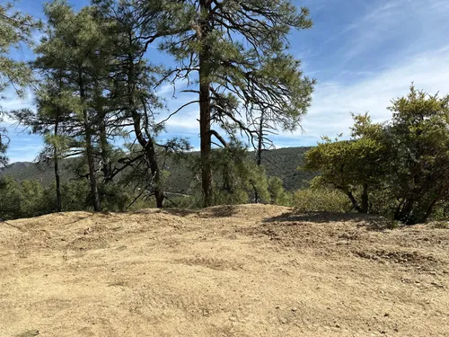 Best Off Road Driving Trails in Prescott National Forest | AllTrails