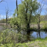 Stewart State Forest Bike Trail, New York - 210 Reviews, Map | AllTrails