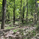 Stewart State Forest Bike Trail, New York - 210 Reviews, Map | AllTrails