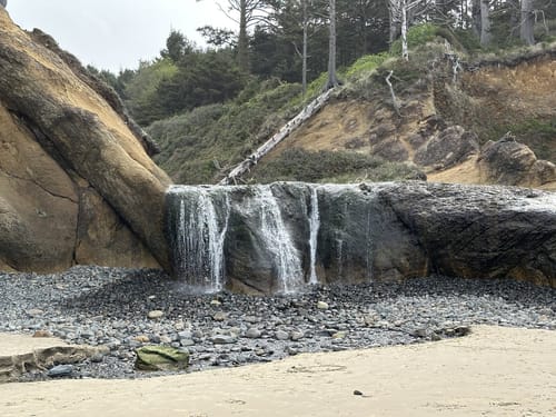 Best Hikes and Trails in Hug Point State Recreation Site | AllTrails