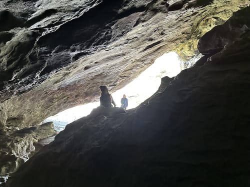 Best Hikes and Trails in Hug Point State Recreation Site | AllTrails