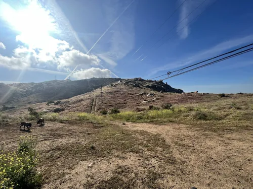 Best Hikes and Trails in Box Springs Mountain Regional Park | AllTrails