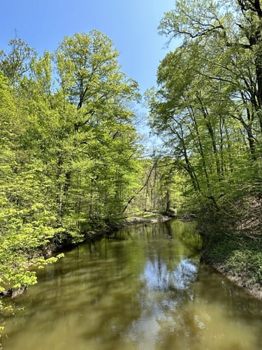 Best Hikes and Trails in Warren Woods State Park | AllTrails