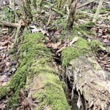 Big Spring Hollow Falls Trail, Ohio - 286 Reviews, Map | AllTrails